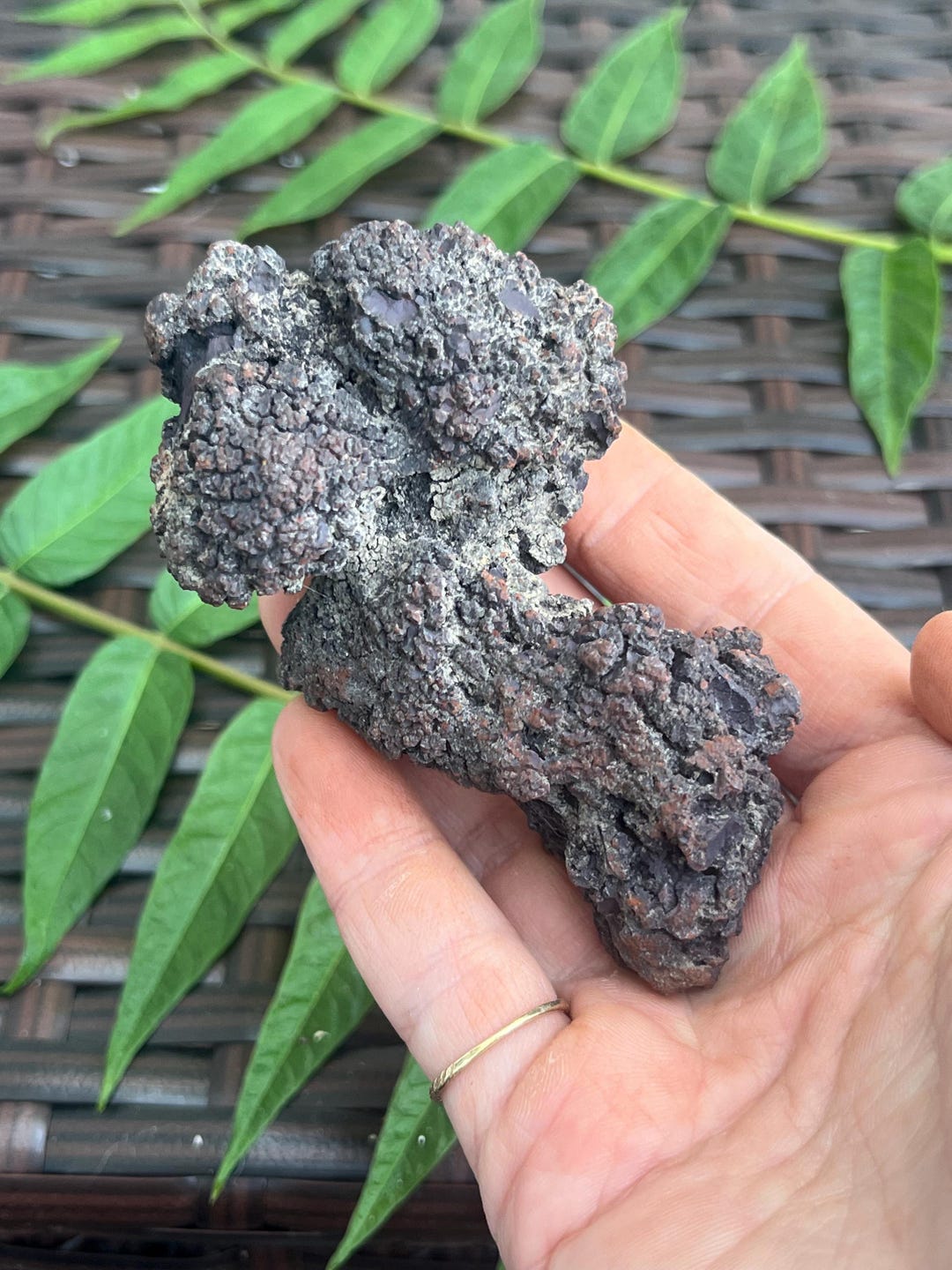 Fossilized Coprolite From Madagascar 151g | Real Dinosaur Poop ...