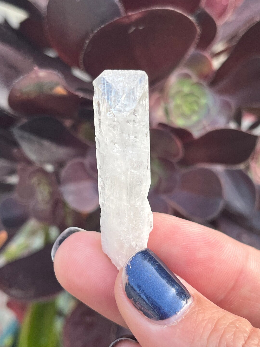 Raw Terminated Danburite Crystal Point 1.7" Aurora Mine, Mexico | Natural Danburite Specimen ...