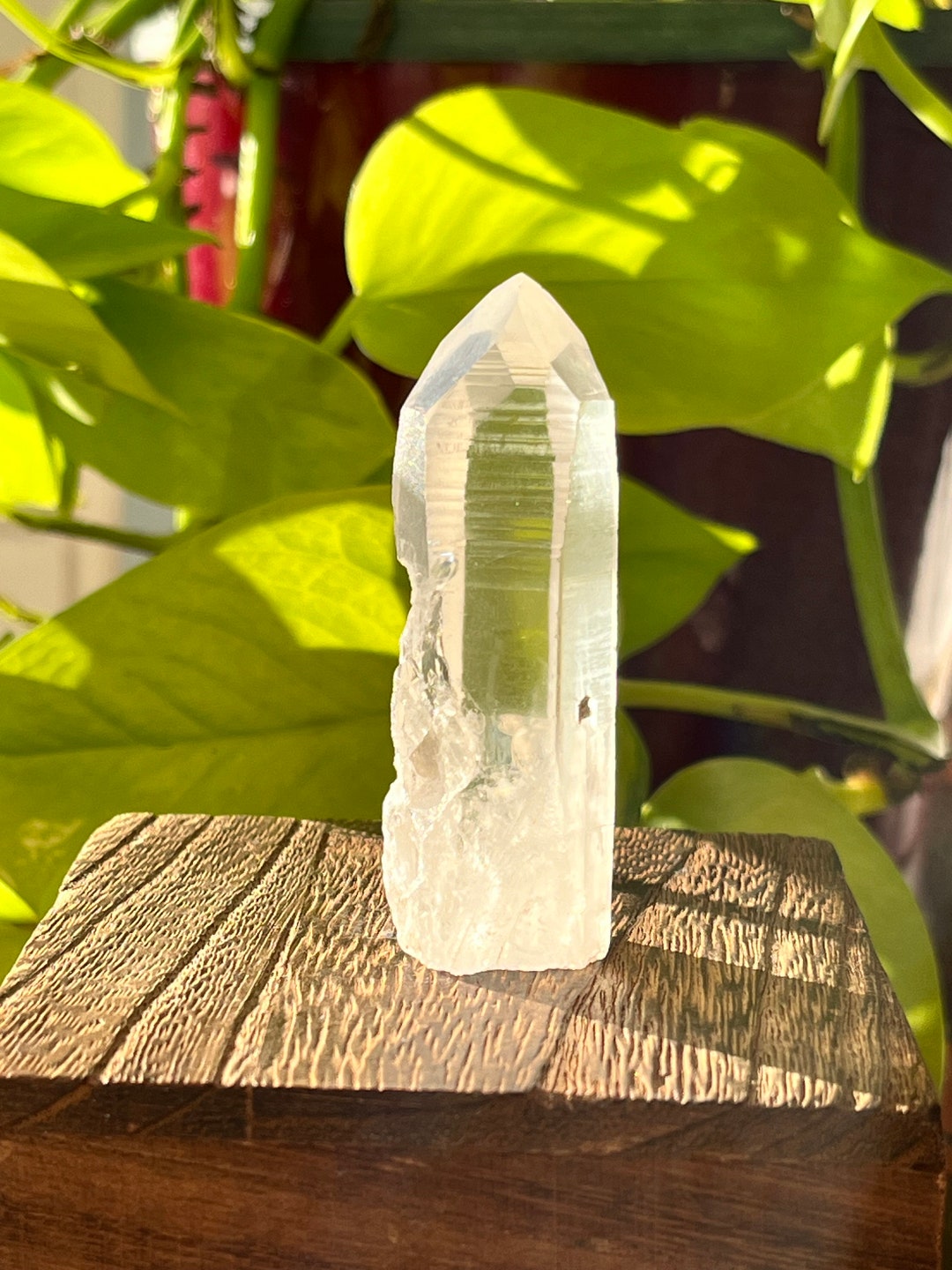 Free Standing Lemurian Seed Crystal Authentic Lemurian Quartz From ...