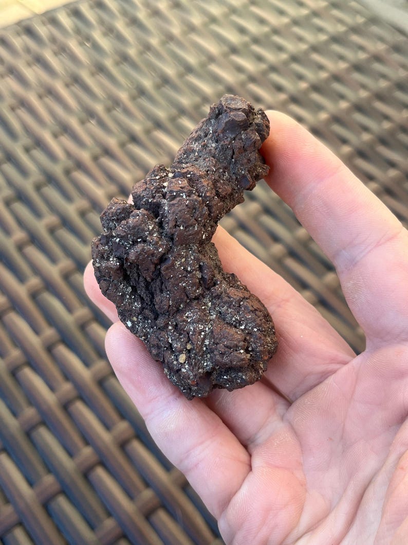 Fossilized Coprolite From Madagascar | Real Dinosaur Poop, Petrified ...