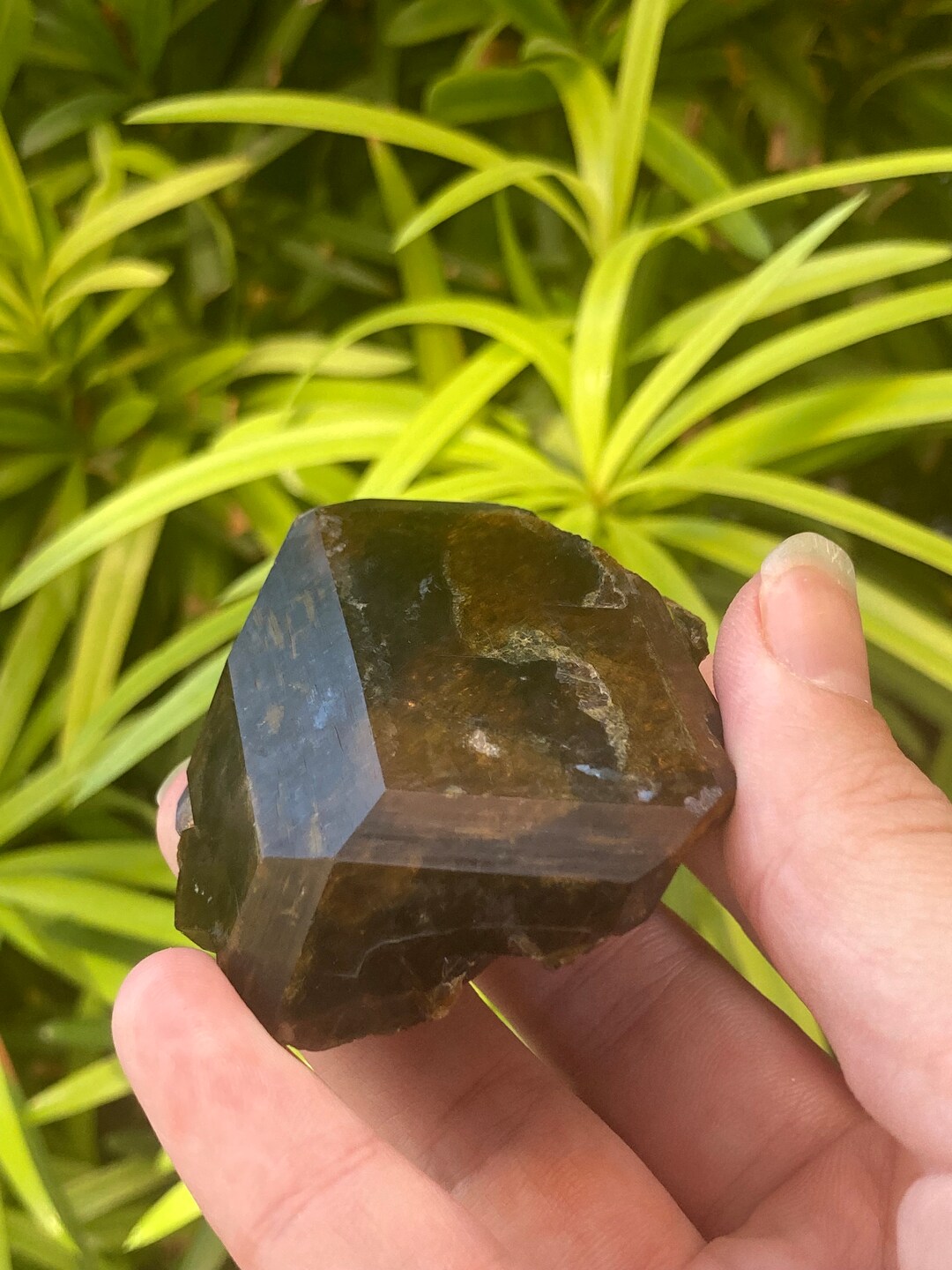 Gorgeous Gemmy Huge Mali Garnet Face Unique Lustrous Brown - Etsy