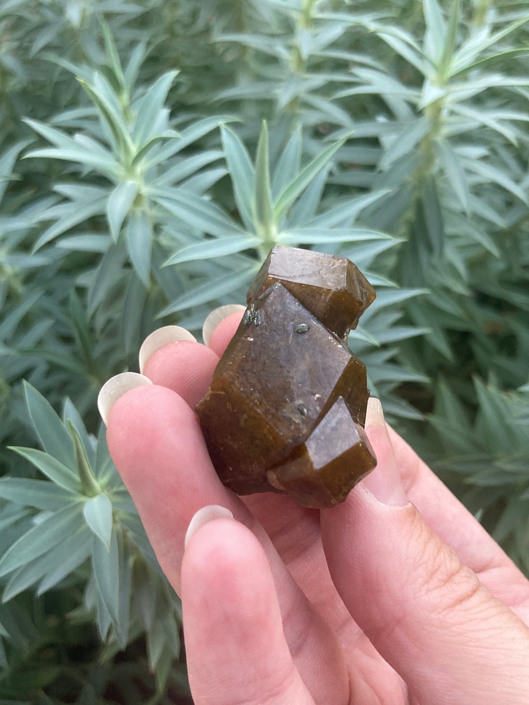 Raw Golden Brown Grossular Andradite Garnet Crystal Cluster From Kayes ...