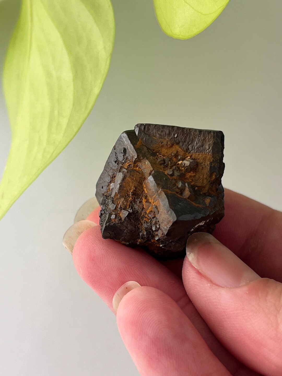 Natural Cubic Limonite After Pyrite Pseudomorph Crystal Cluster From ...