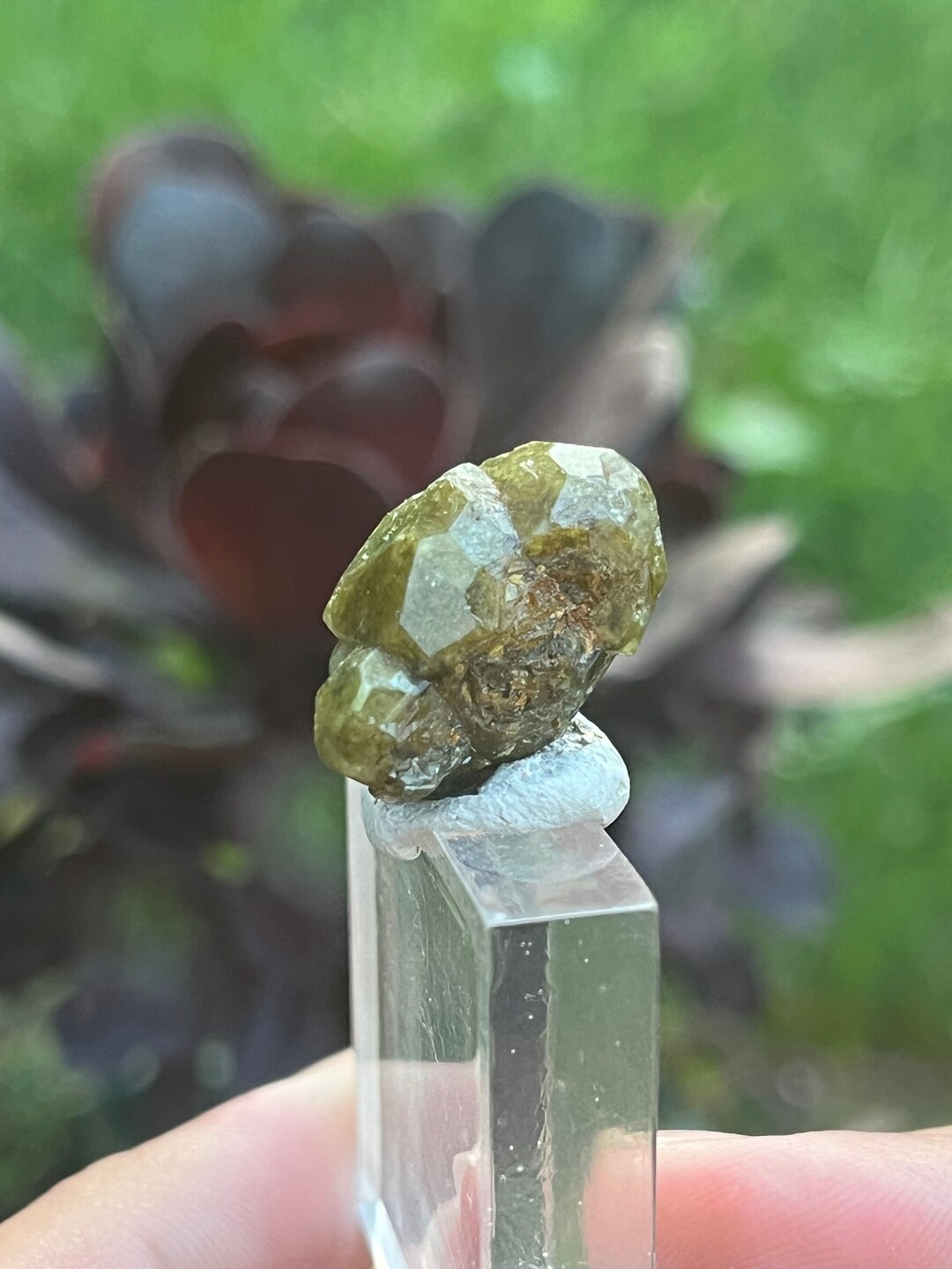 Raw Golden Green Grossular Andradite Garnet Crystal Cluster From Kayes ...