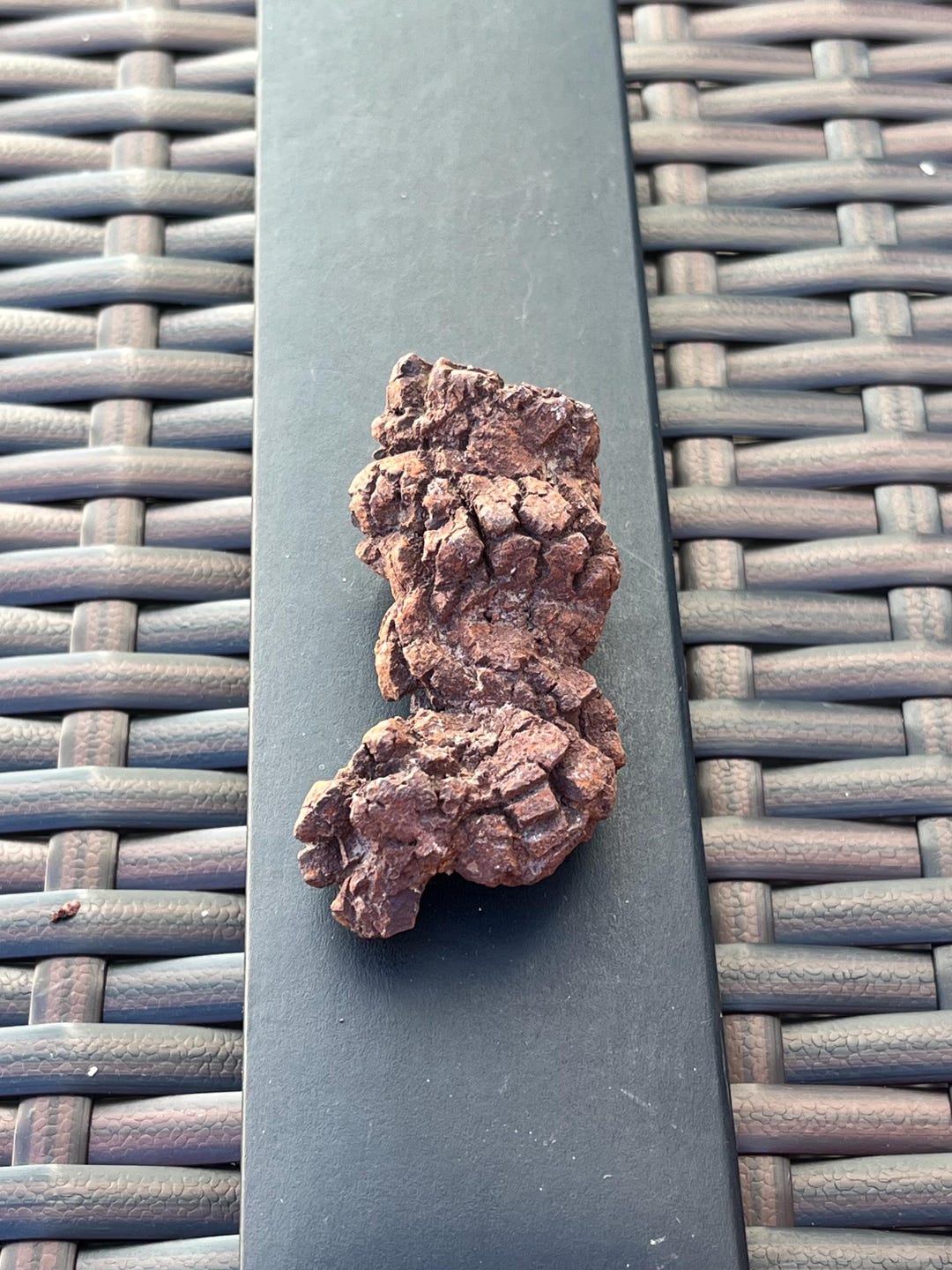 Fossilized Coprolite From Madagascar | Real Dinosaur Poop, Petrified ...