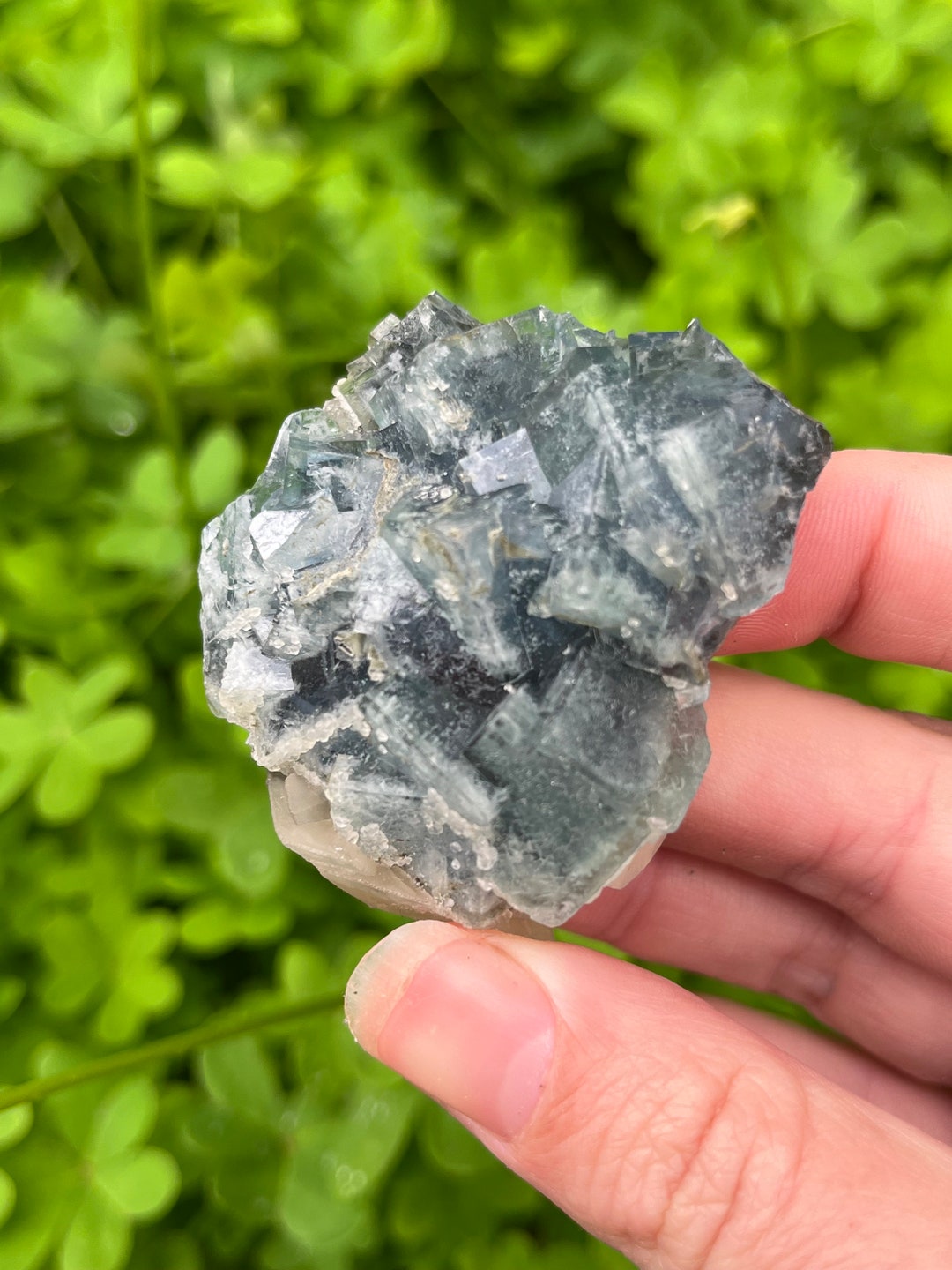 Glassy Green Blue Fluorite Crystal Cluster | Beautiful Cubic Fluorite ...
