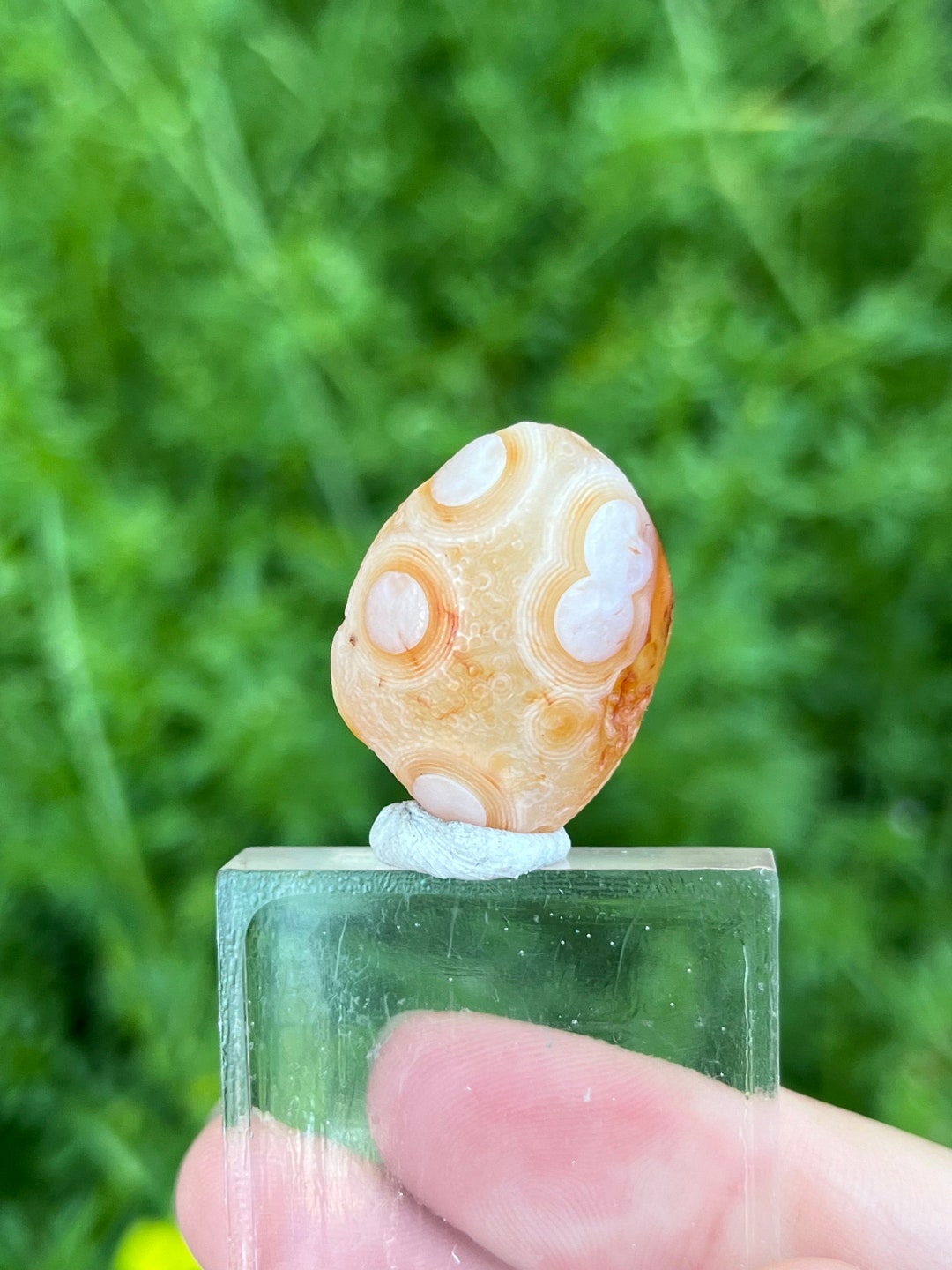 Orange and White Gobi Eye Agate | Gobi Desert Mongolia Agate | Rare ...