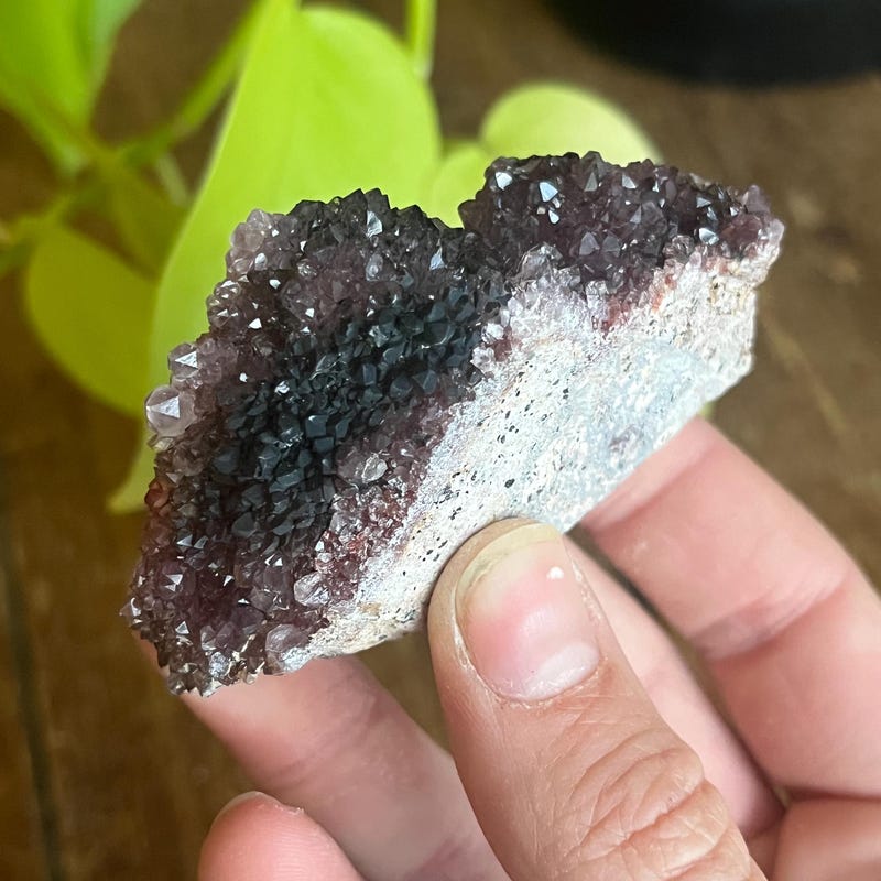 Turkey Cluster - Etsy