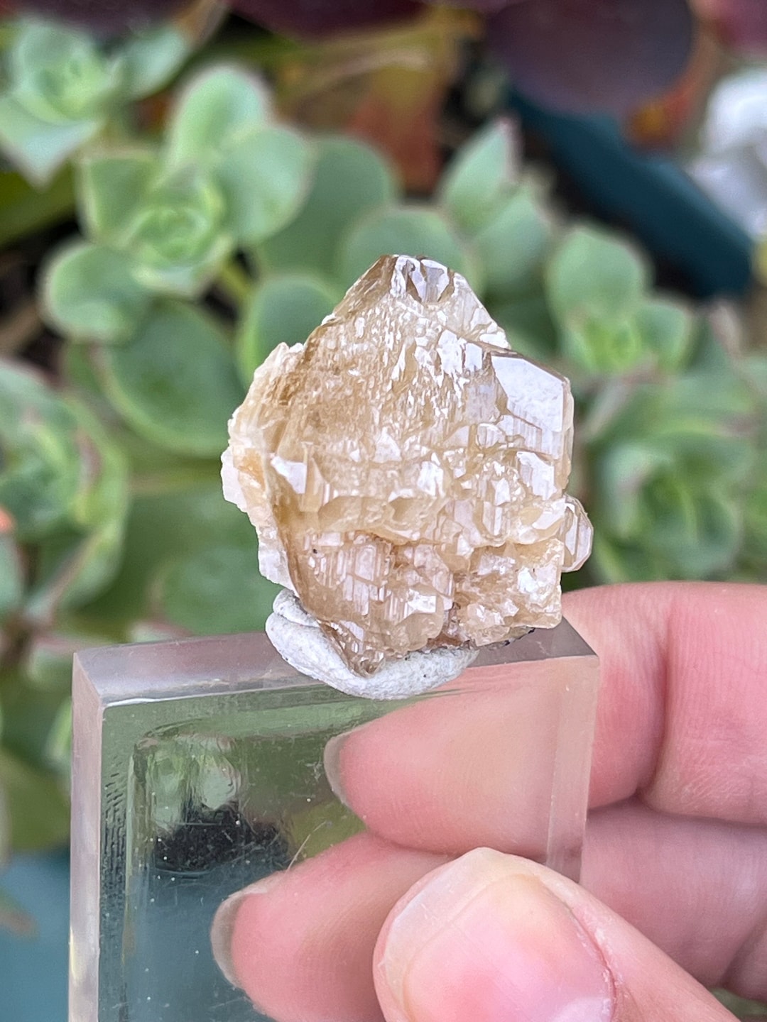Rare Cerussite Crystal From Morocco 31g Raw Cerussite Stone ...