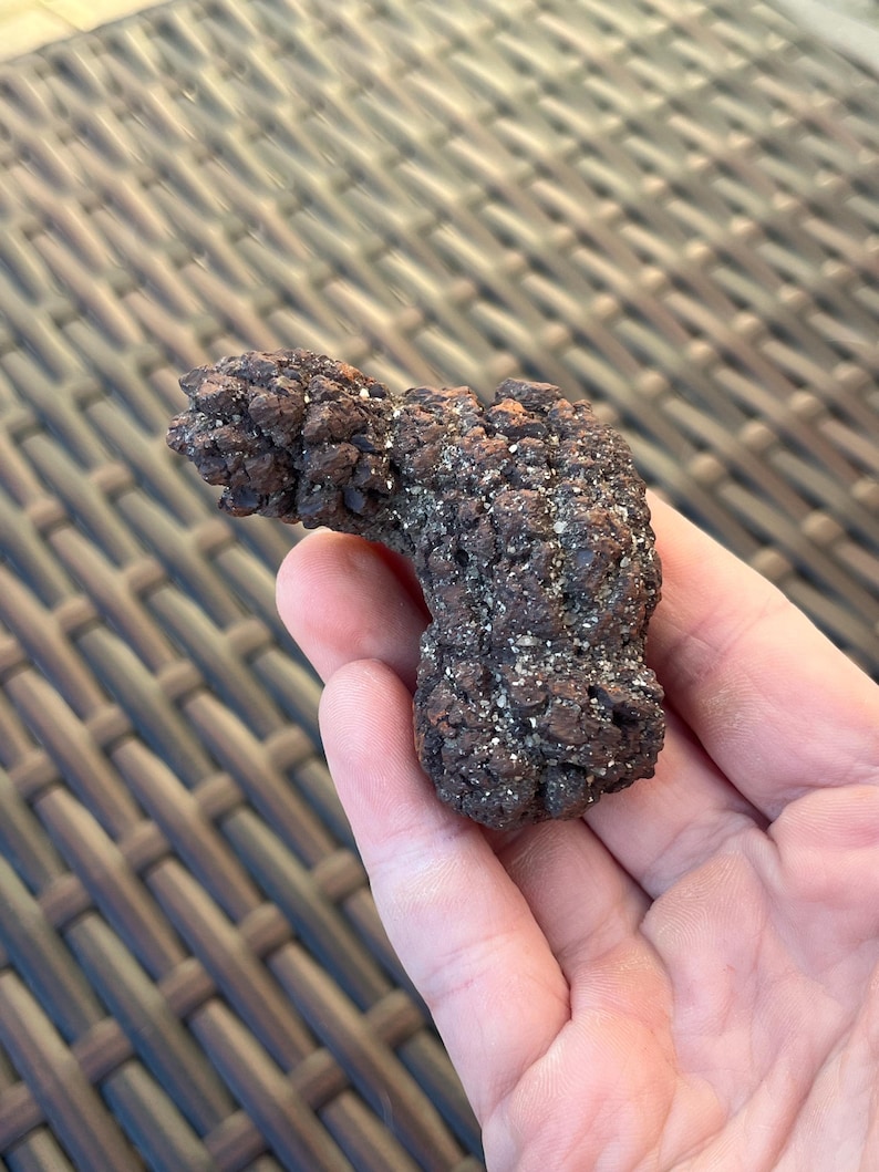 Fossilized Coprolite From Madagascar | Real Dinosaur Poop, Petrified ...
