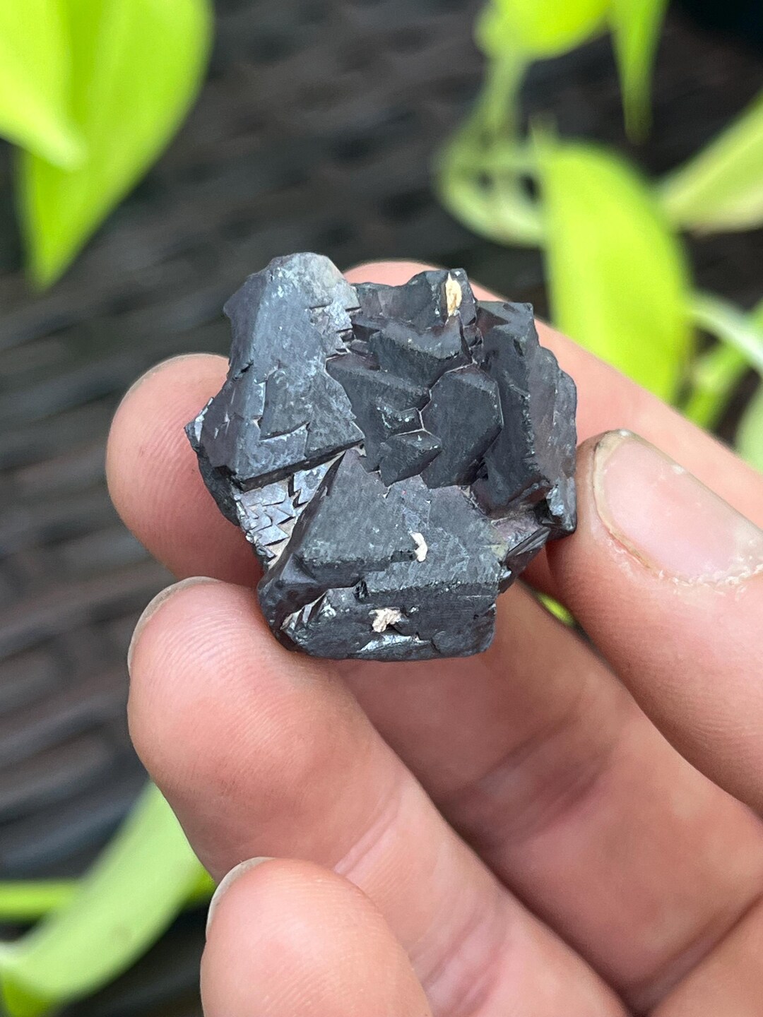 Raw Octahedral Magnetite Crystal From Utah | Natural Magnetite Specimen ...