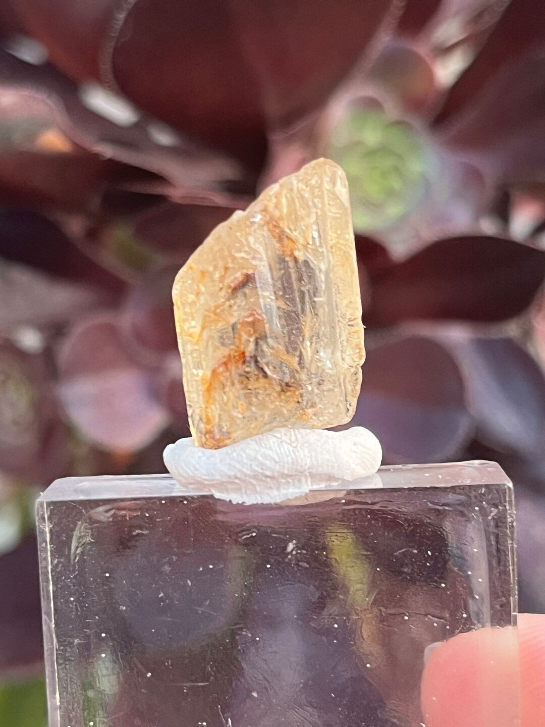 Gorgeous Translucent Raw Golden Yellow Scapolite Crystal From Tanzania | Loose Gemstones ...