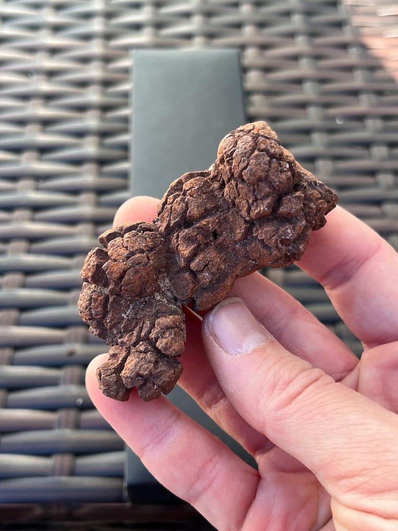 Fossilized Coprolite From Madagascar | Real Dinosaur Poop, Petrified ...