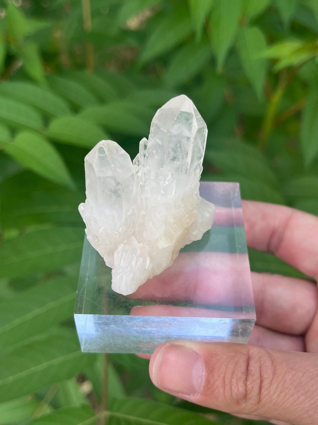 White Himalayan Pineapple Quartz Crystal Cluster | Rare Free Standing ...