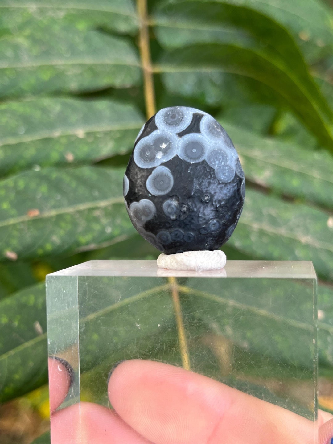 Gobi Eye Agate Crystal | Gobi Desert Mongolia Agate, Gobi Agate, Eye ...