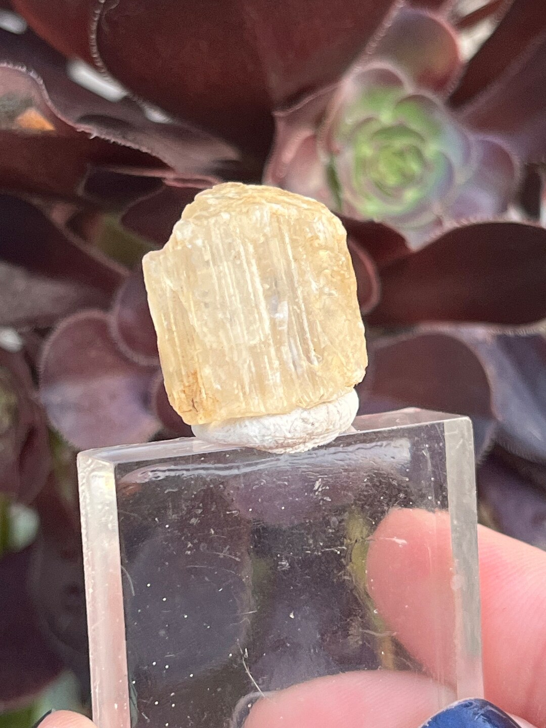 Large Raw Golden Yellow Scapolite Crystal From Tanzania Loose Gemstones, Crystal Grid, Healing ...