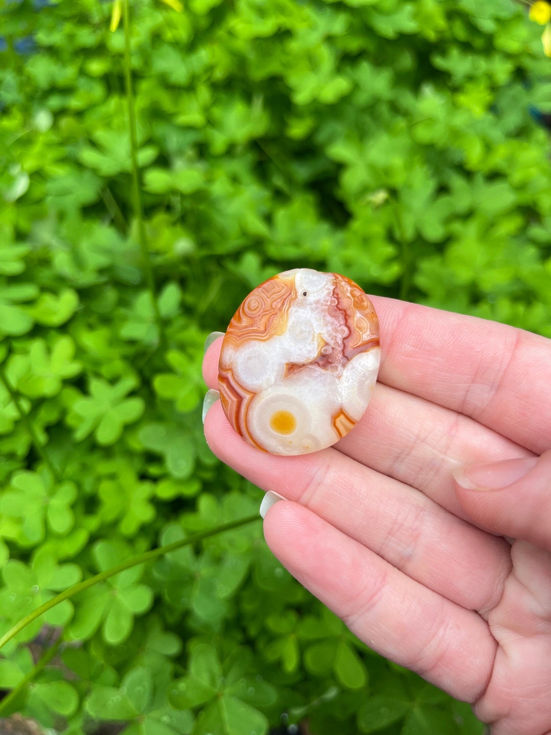 Exceptional Colorful Gobi Eye Agate Gobi Desert Mongolia Agate Rare ...