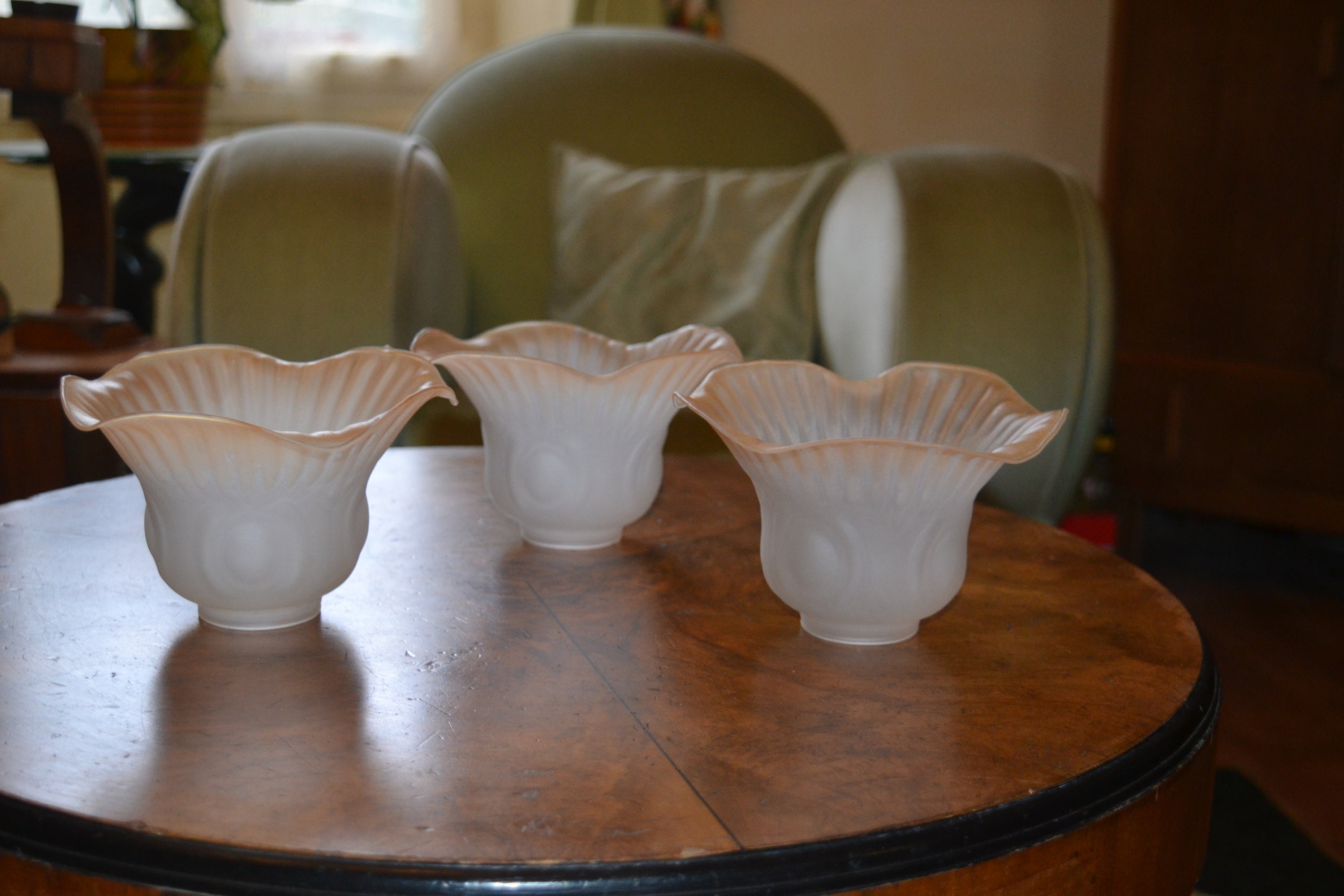 French Art Deco Flower Design Glass Light Shades X 3 - Etsy