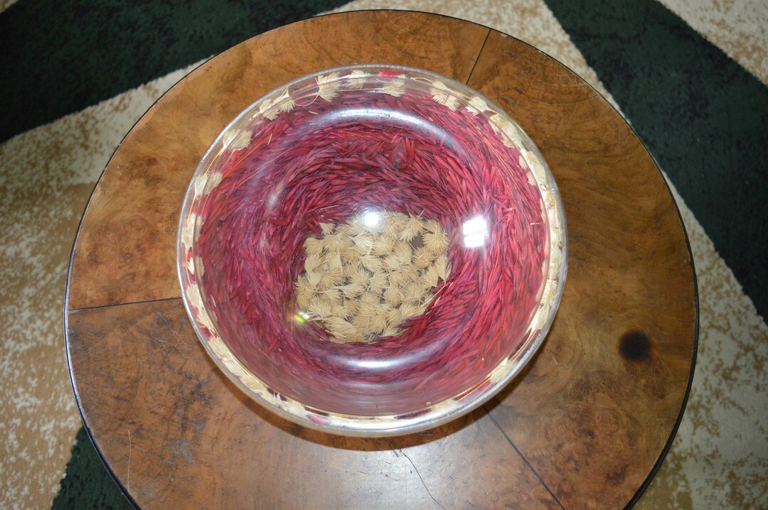 Kitsch Perspex Mixing Bowl Filled With Flowers Seeds - Etsy