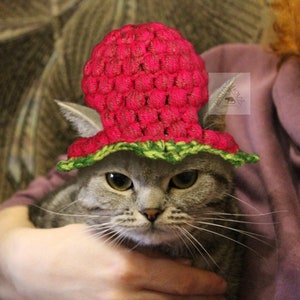 Raspberry Hat Cat Crochet Pattern/ Cute Berry Hat for Cat, Small Dog ...