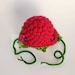 Raspberry Hat Cat Crochet Pattern/ Cute Berry Hat for Cat, Small Dog ...