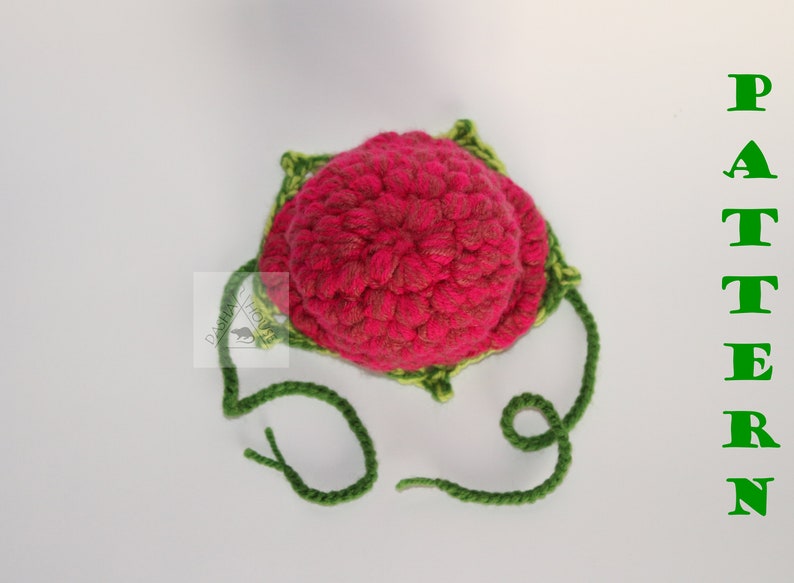 Raspberry Hat Cat Crochet Pattern/ Cute Berry Hat for Cat - Etsy