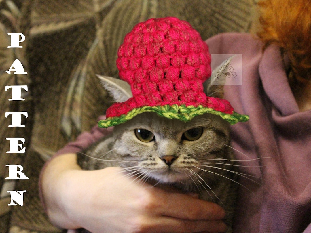 Raspberry Hat Cat Crochet Pattern/ Cute Berry Hat for Cat, Small Dog ...