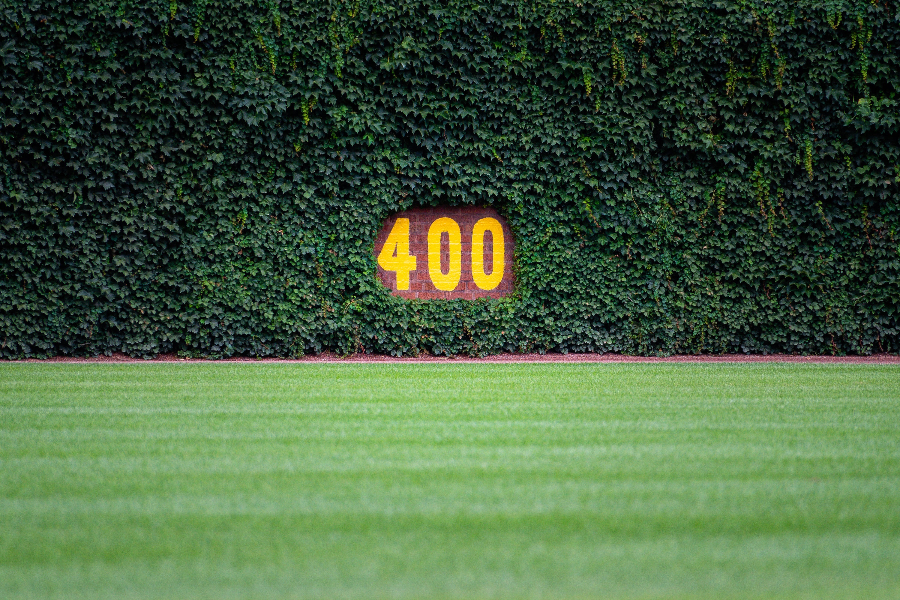 Wrigley Field Photo Print, Wrigley Field Ivy Wall, Chicago Cubs Wall ...