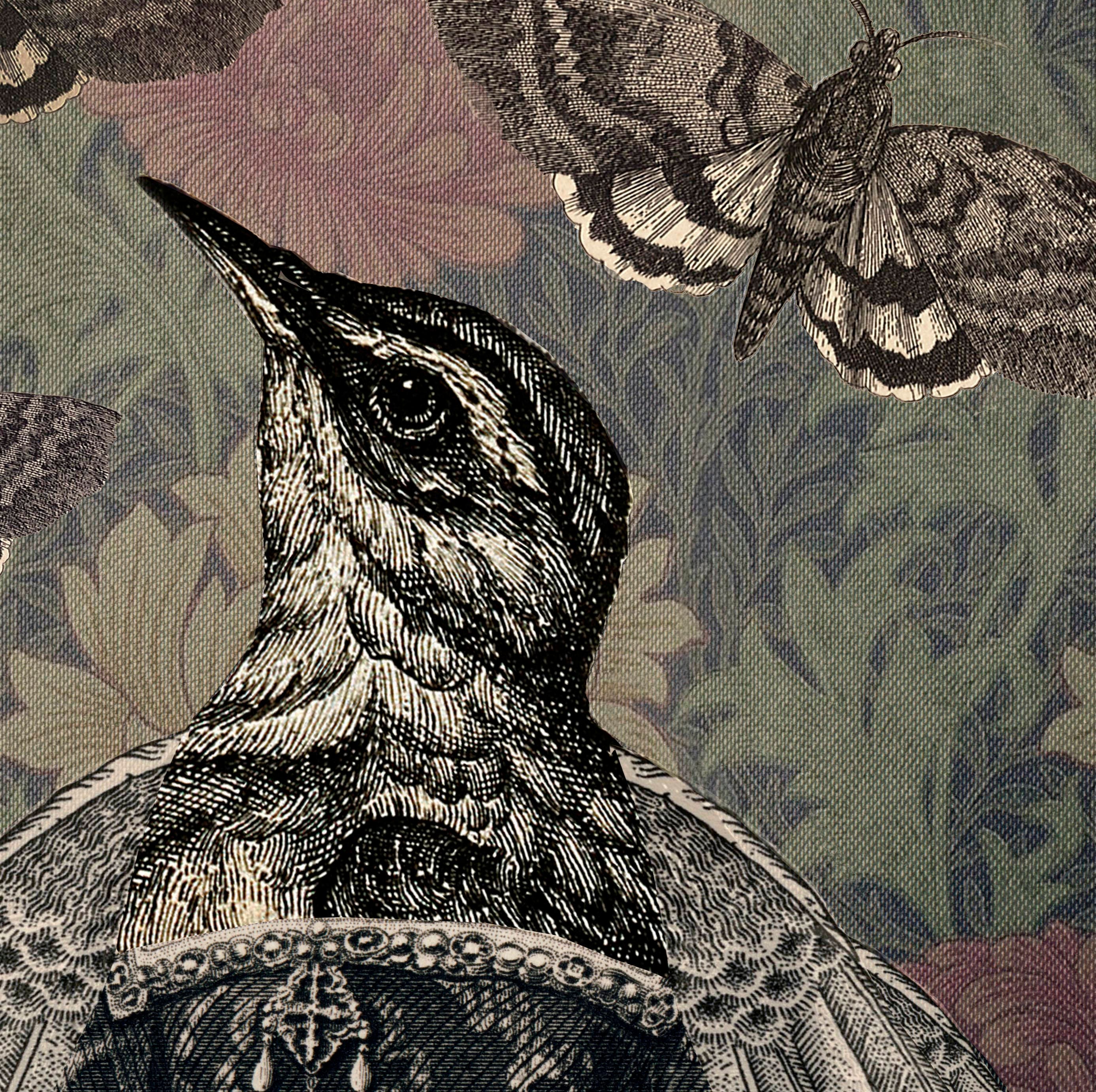 Wall Hangings Prints Hybrid Collage Bird in Dress Magical Home Decor ...