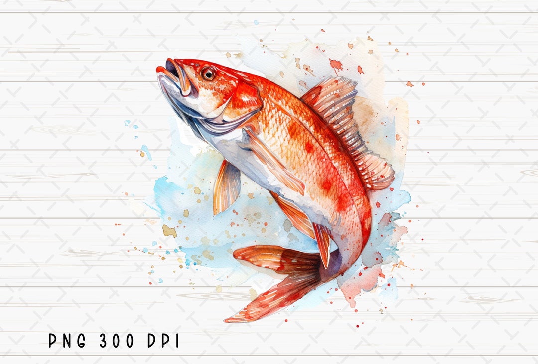 Redfish PNG, Fishing PNG, Redfish Sublimation, Redfish Watercolor PNG ...