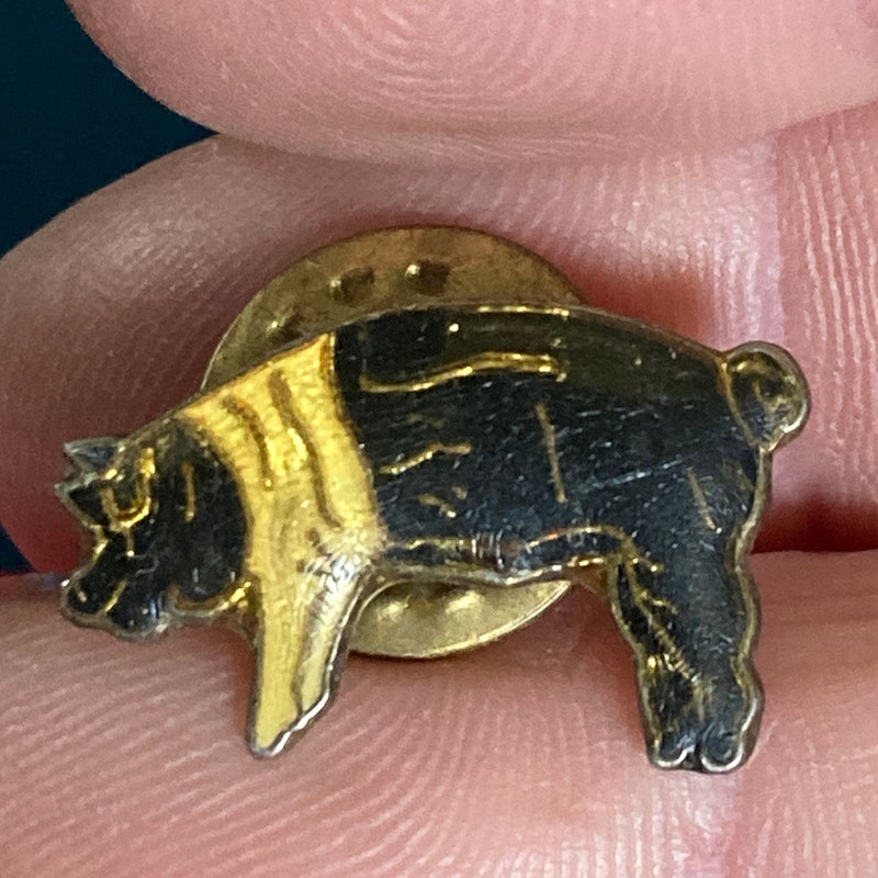 Pig Lapel Pin - Etsy