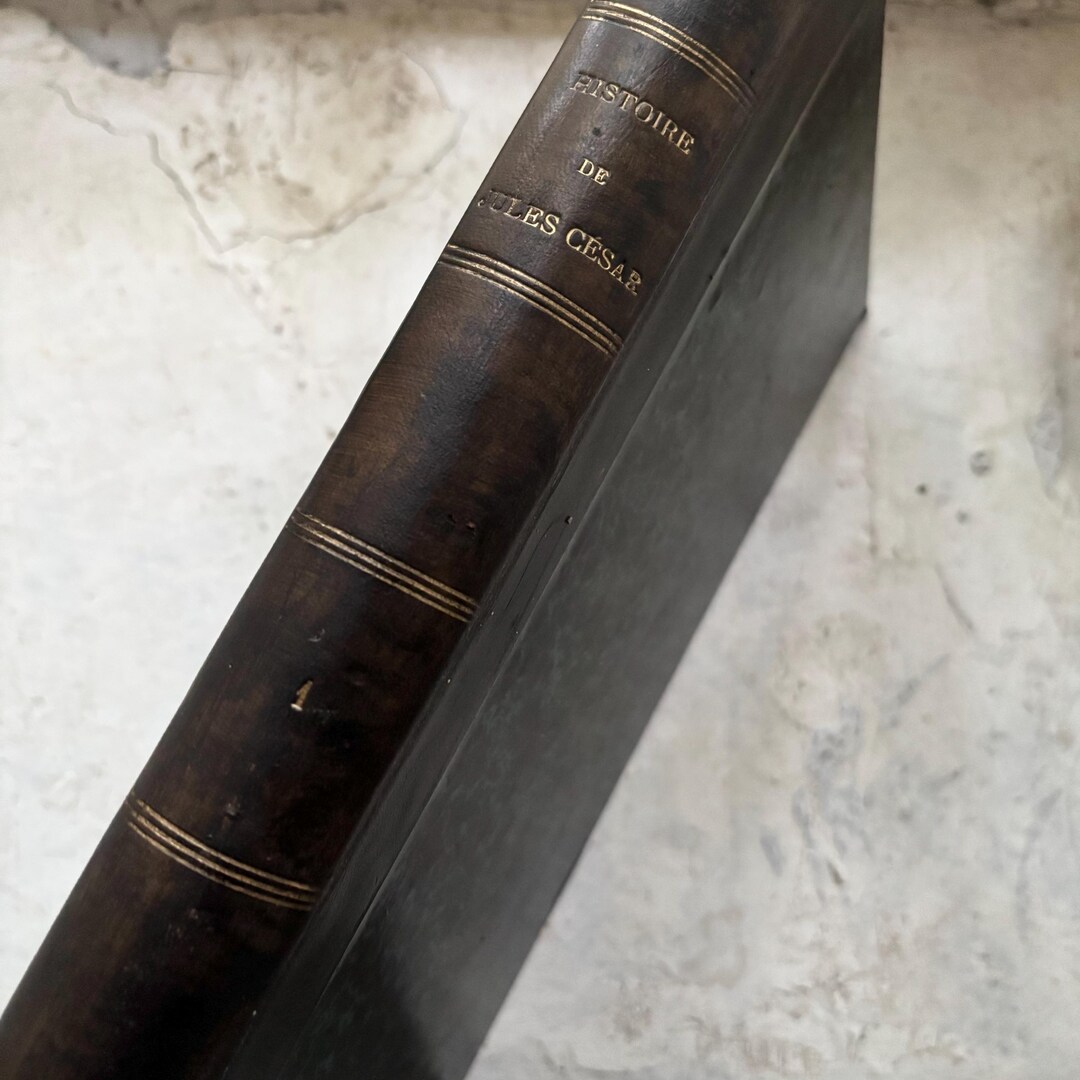 Rare First Edition 1865 Antique Biography in French by Emperor Napoléon ...