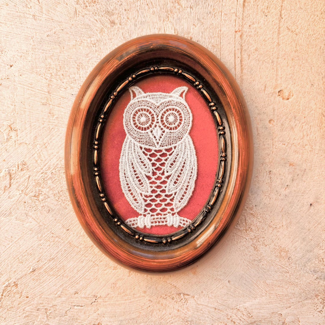 Small Vintage Oval Frame With an Owl Doily From France, Made in the ...