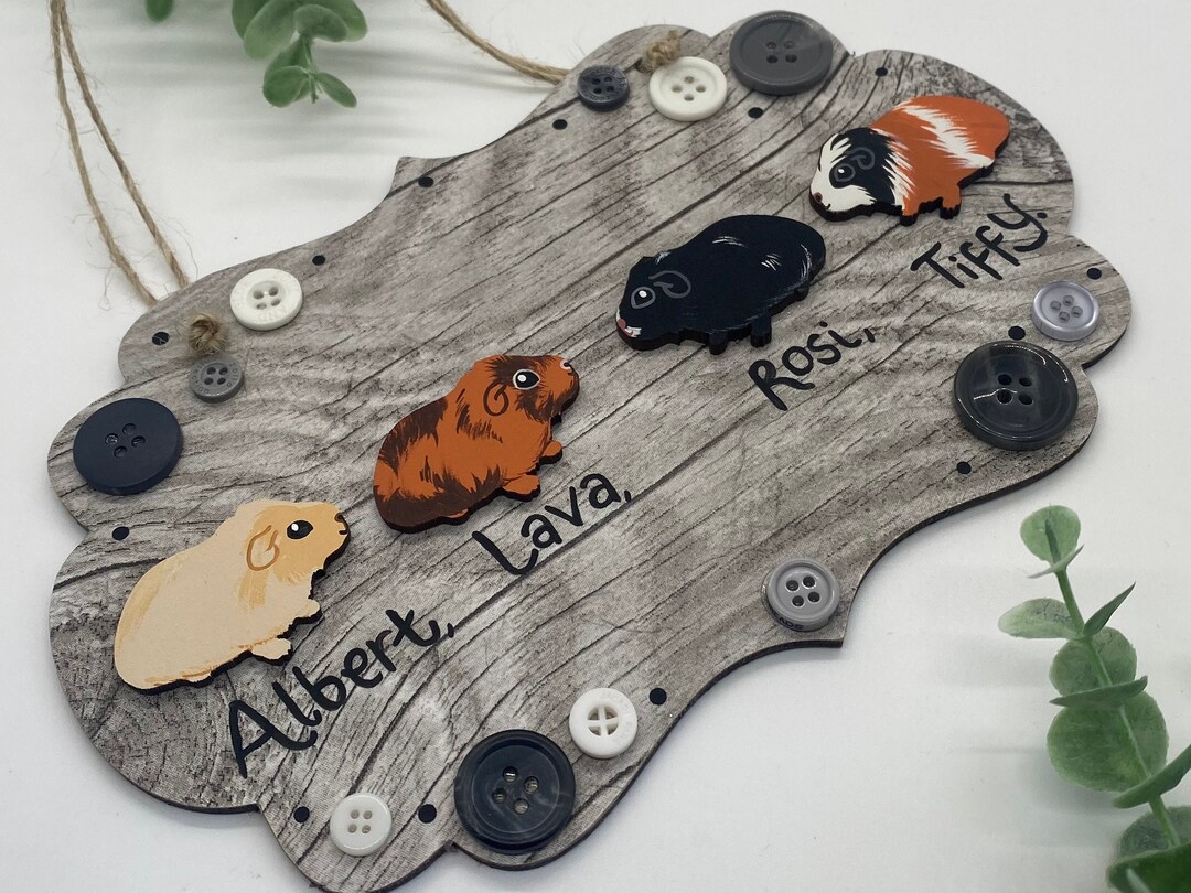 Guinea Pig Name Sign / Name Plaque for Guinea Pigs House / Guinea Pig ...