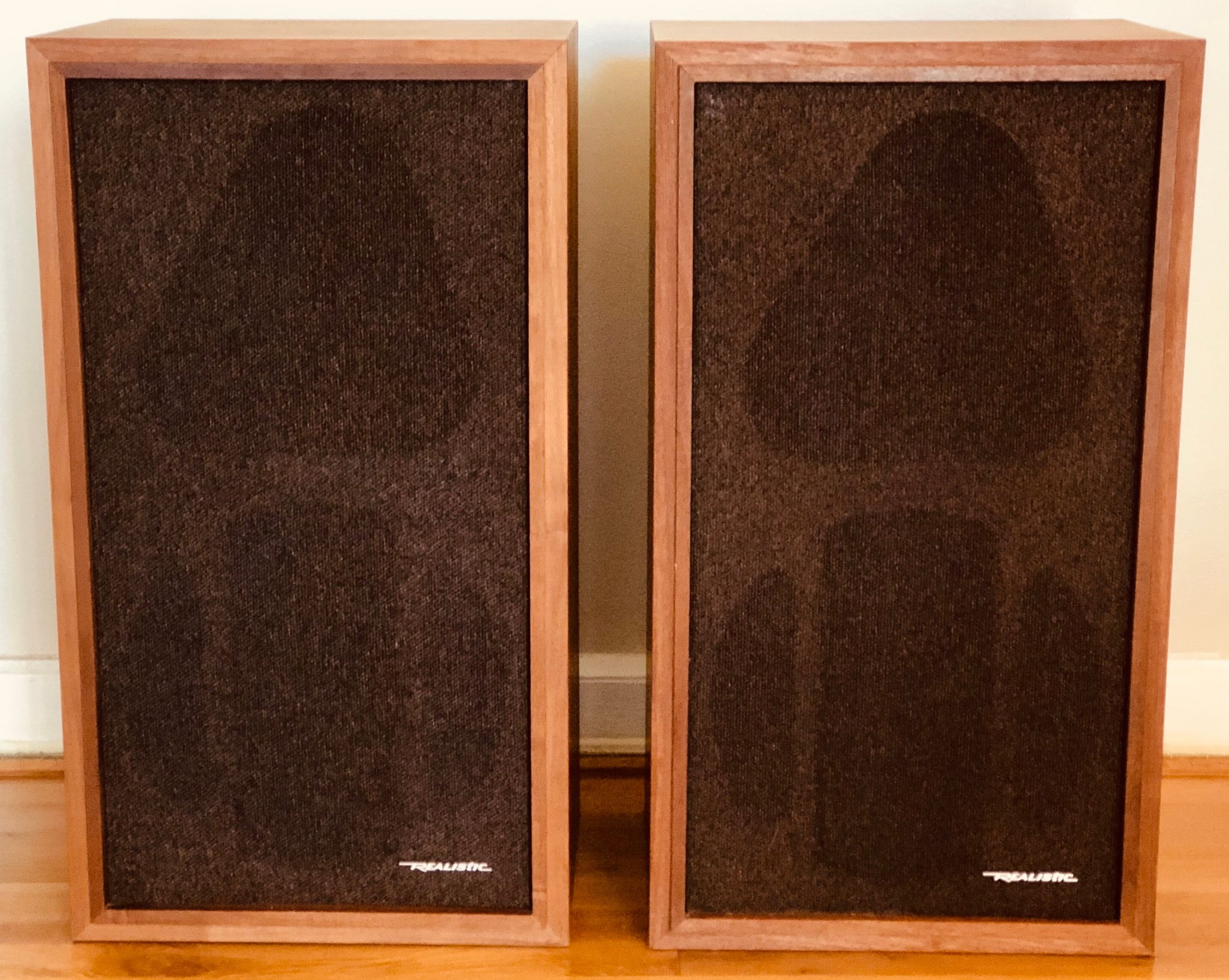 Vintage Realistic Speakers