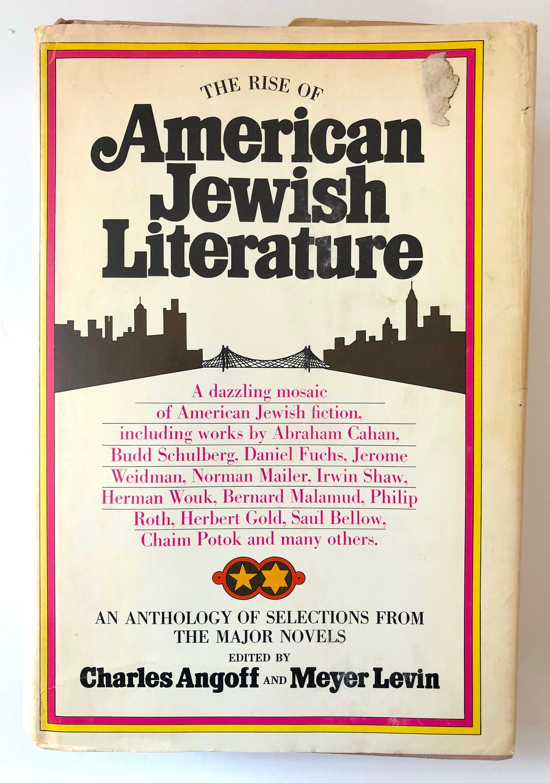 The Rise of American Jewish Literature, Anthology, Angoff & Levin ...