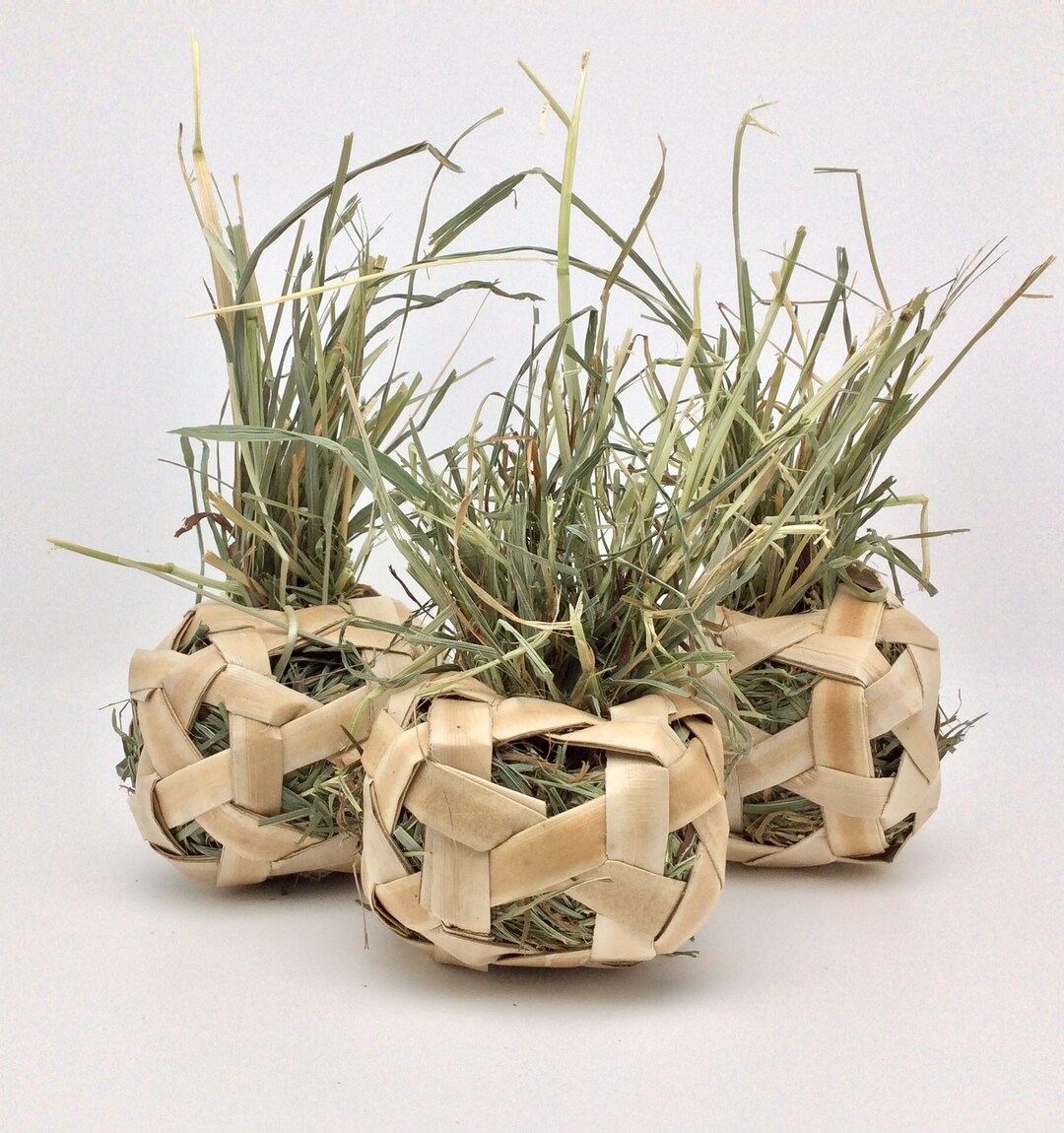 Chew Toy Hay Bomb, Favorite Healthy Toy, Timothy Hay, Rabbit, Guinea ...