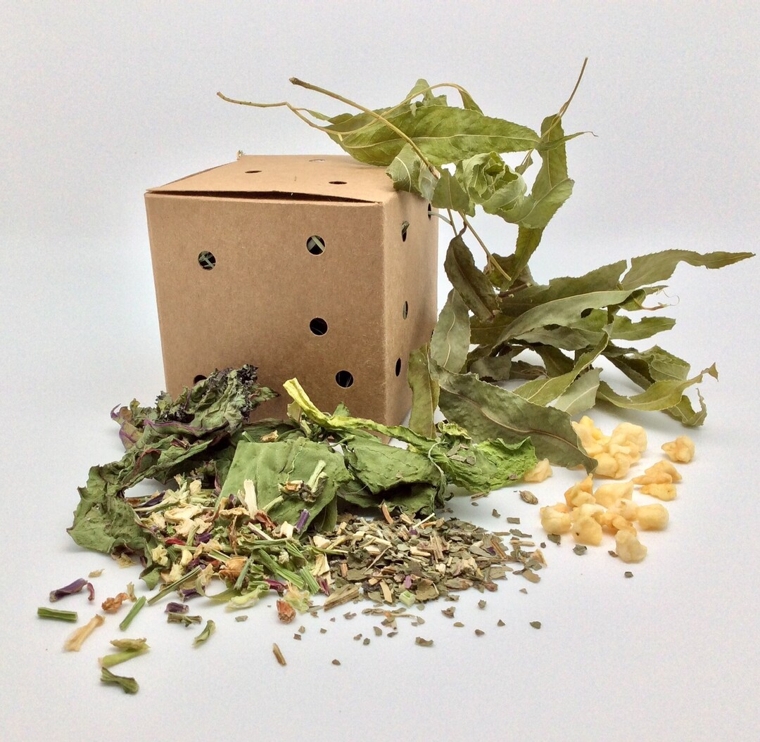 Foraging Willow Leaf Box, Rabbit, Guinea Pig, Rat, Mouse Box of Fun ...