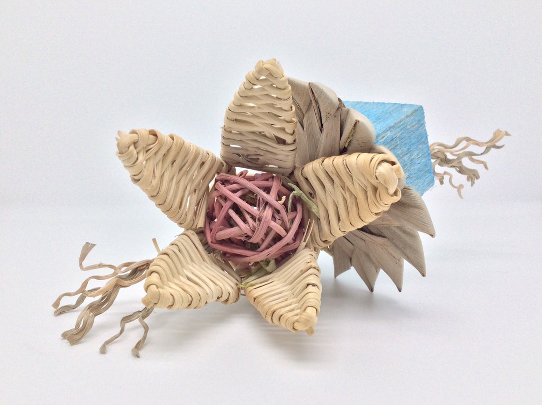 Chew Your Heart Out! Flavored Toss Toys for Rabbits, Degu, Guinea Pigs ...