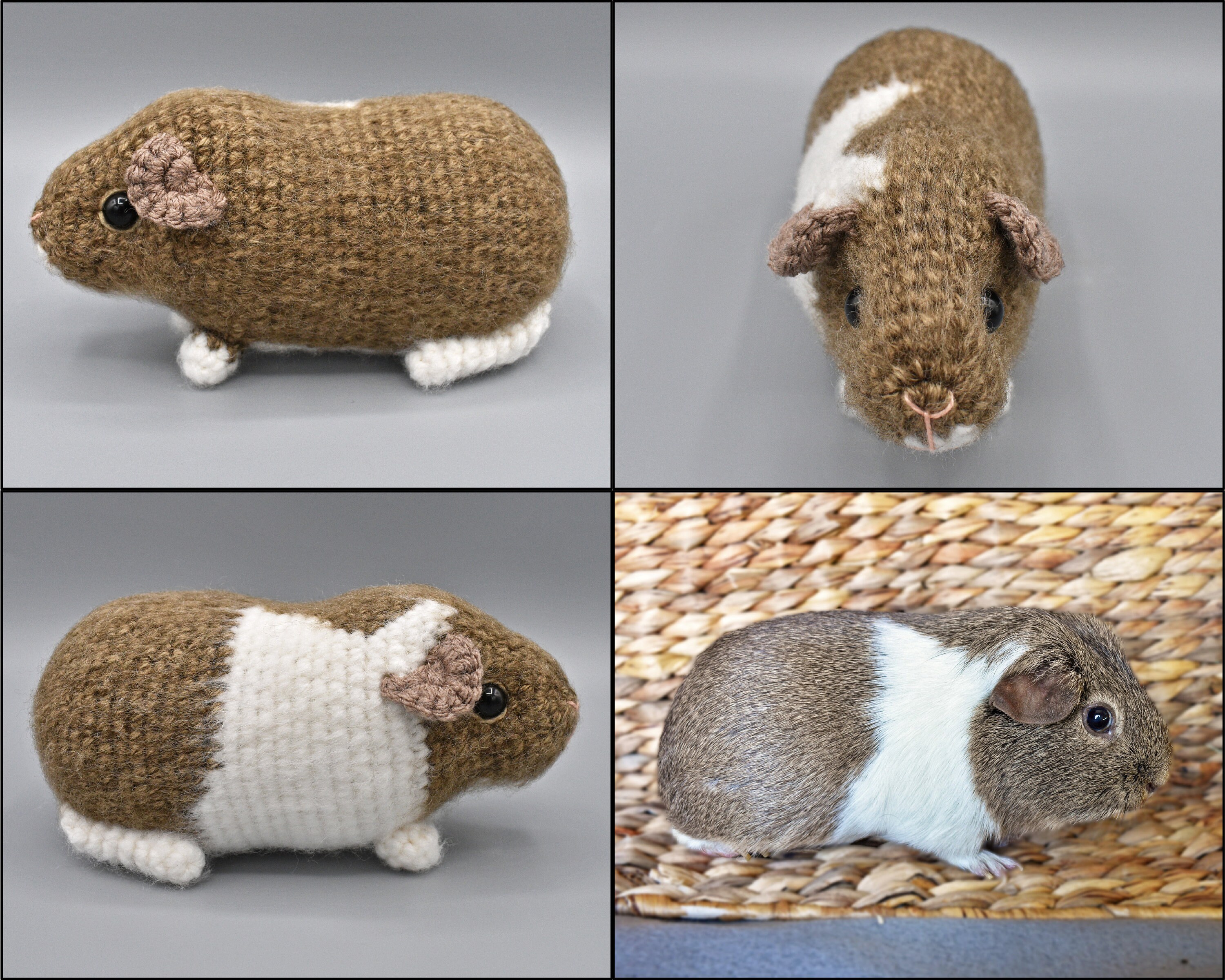 Custom Cuddly Guinea Pig — Kendra's Crafty Crafts