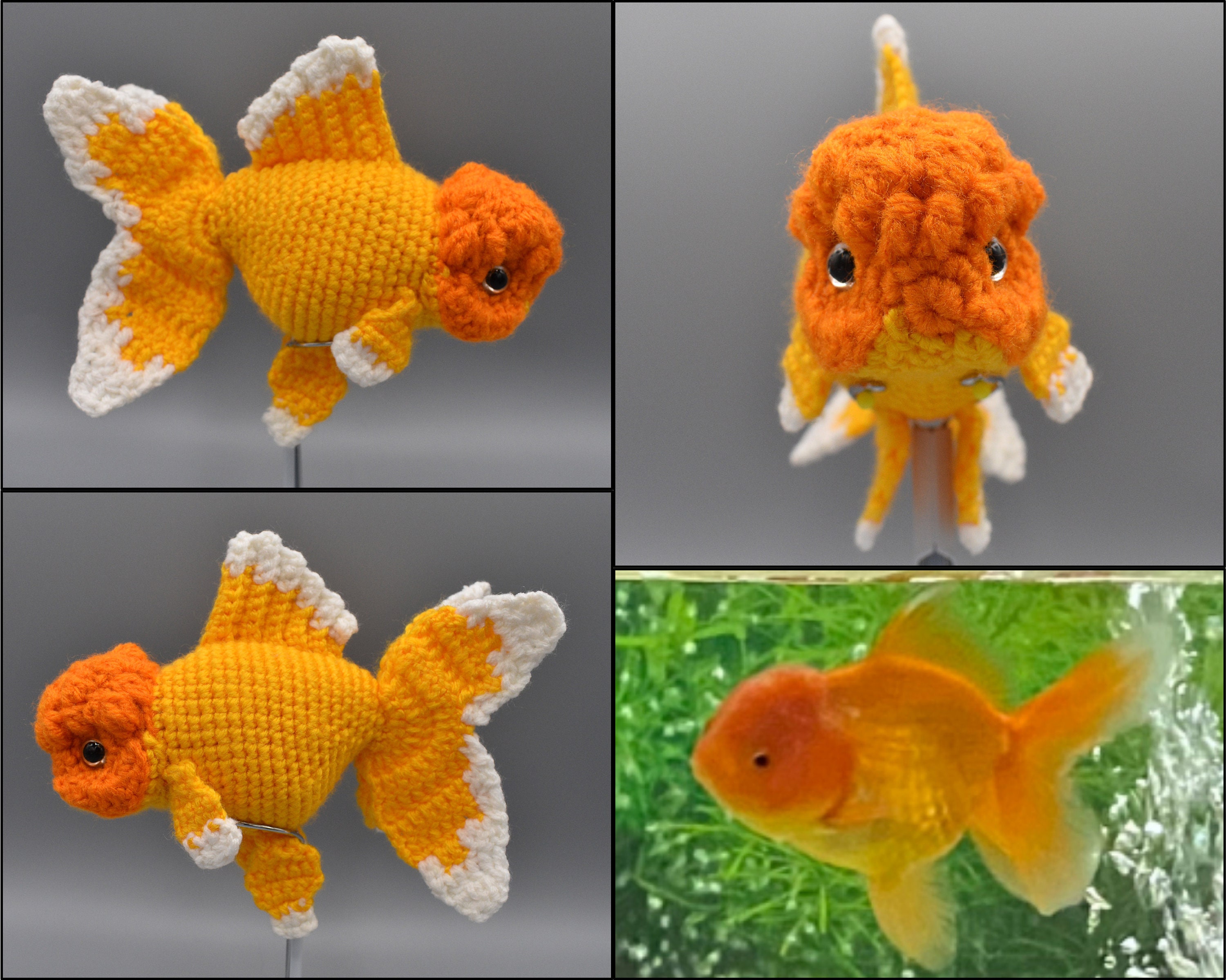 Custom Fancy Goldfish — Kendra's Crafty Crafts