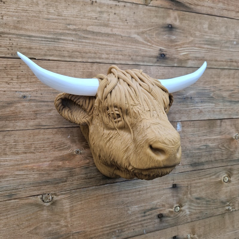 Highland Cow Mount - Etsy