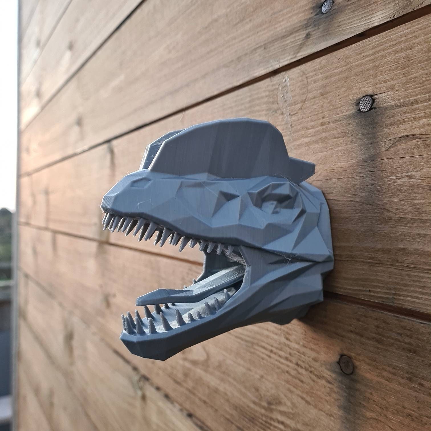 Diddy Dino Geometric Dilophosaurus Head Dinosaur Wall Art - Etsy