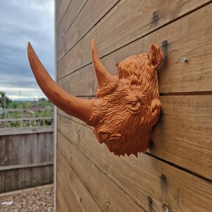 Woolly Rhinoceros Wall Art - Prehistoric Animal - Wall Mount- 3D ...