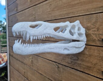 Velociraptor Skull Wall Art Dinosaur Wall Mount 3D - Etsy