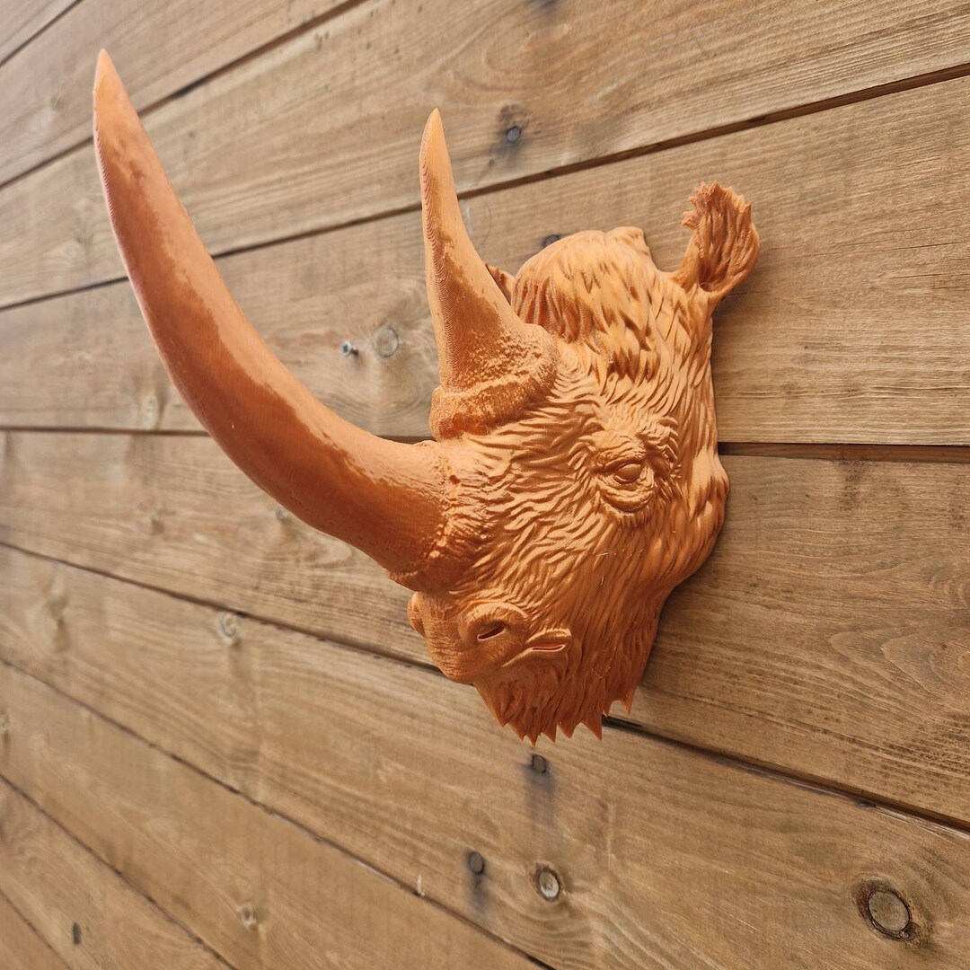 Woolly Rhinoceros Wall Art - Prehistoric Animal - Wall Mount- 3D ...
