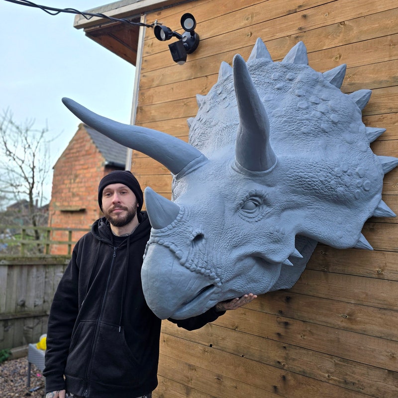 Elias Duarte Lopez Dinosaur Hapush Braids - Etsy Canada