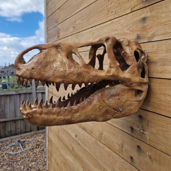 Life Size Trex Skull Replica - Etsy
