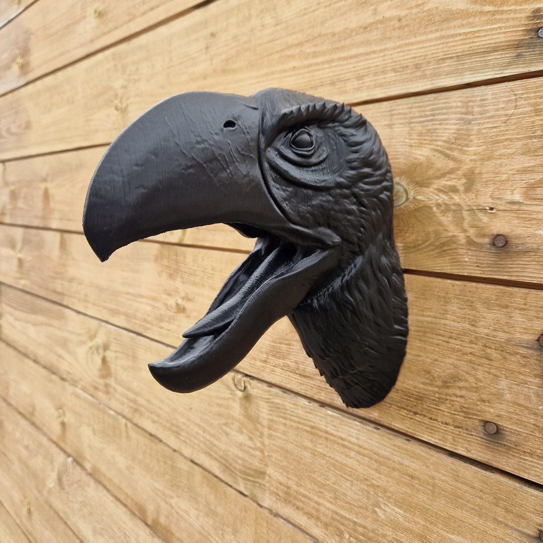 Brontornis Head Wall Art - Dinosaur - Wall Mount- 3D Printed - Multiple ...