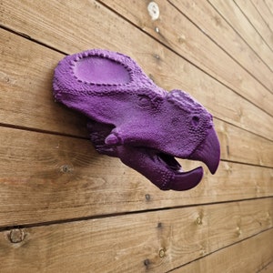 Protoceratops Head - Dinosaur Wall Art - 3D Printed - Etsy
